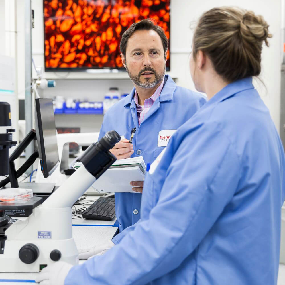 Find a Job - Carlsbad